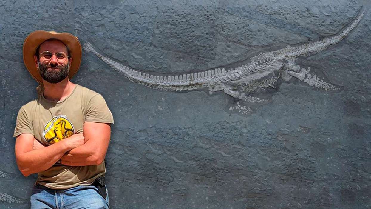 No era inmadurez, era evolución: descubren una especie de reptil marino ...