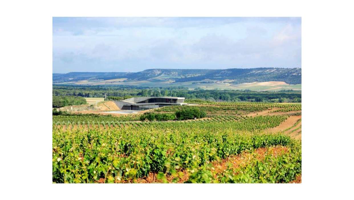 El Trío de Ases de Lagar de Proventus | Vozpópuli