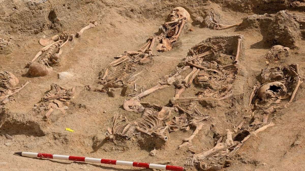 La segunda 'vida' de los muertos olvidados de Madrid: de la búsqueda de ...