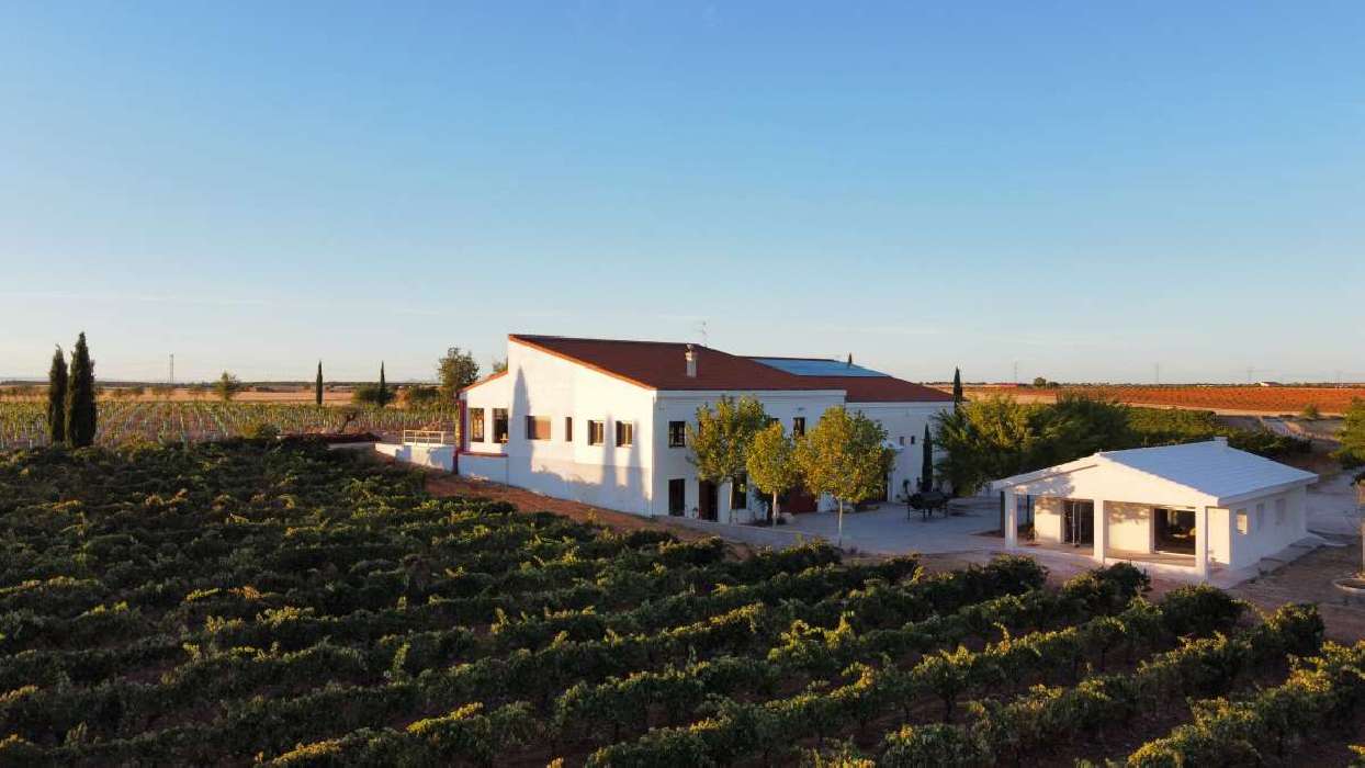 Alto de Pioz, haciendo buen vino en el páramo alcarreño | Vozpópuli