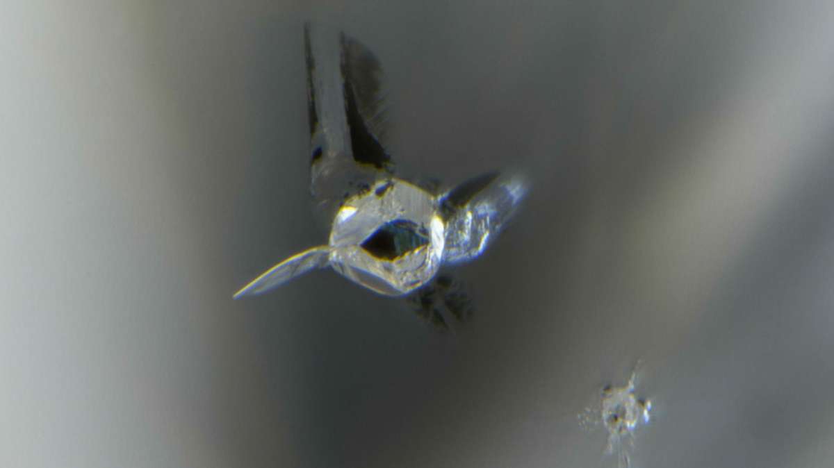 Un diamante revela la presencia de agua a 600 kilómetros de profundidad ...